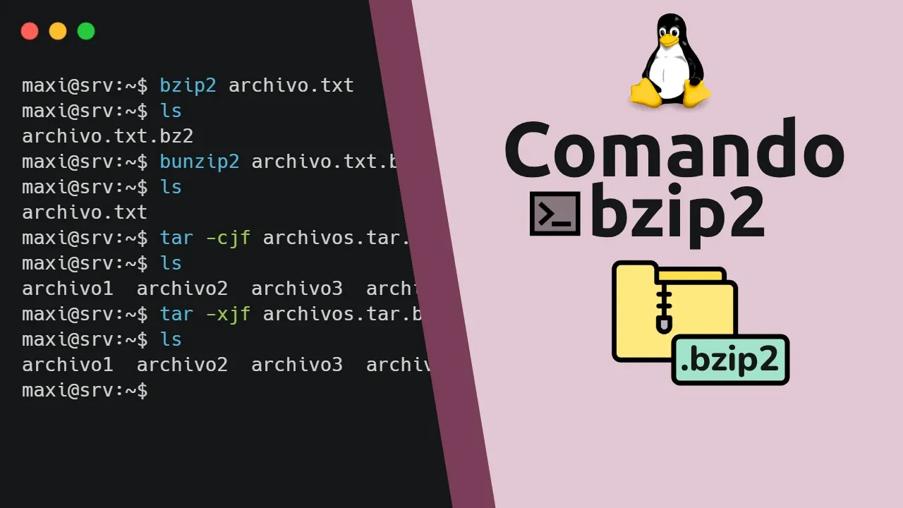 Comando bzip2 en Linux: comprimir y descomprimir archivos - Maxi Zamorano
