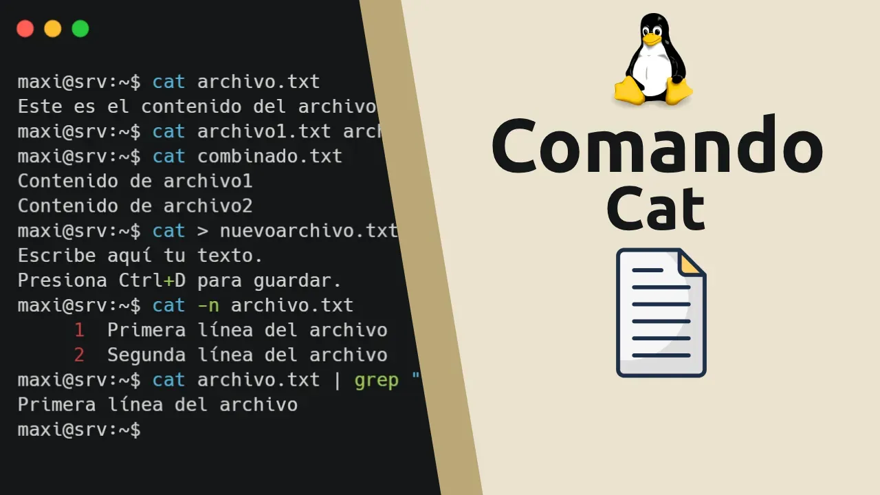 Comando cat en Linux: qué es y cómo usarlo - Maxi Zamorano