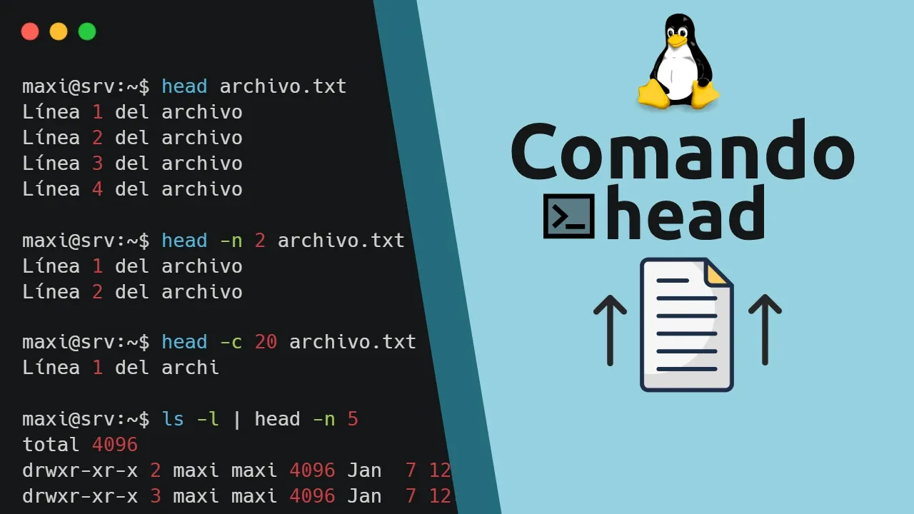 Comando head en Linux: qué es y cómo usarlo - Maxi Zamorano